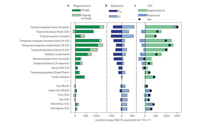 The potentials and limitations of tree plantings as a climate solution - Science Feedback