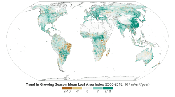 Yes, plants need carbon dioxide. No, that doesn’t mean it’s harmless ...