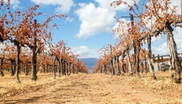 "motos" - Science Feedback